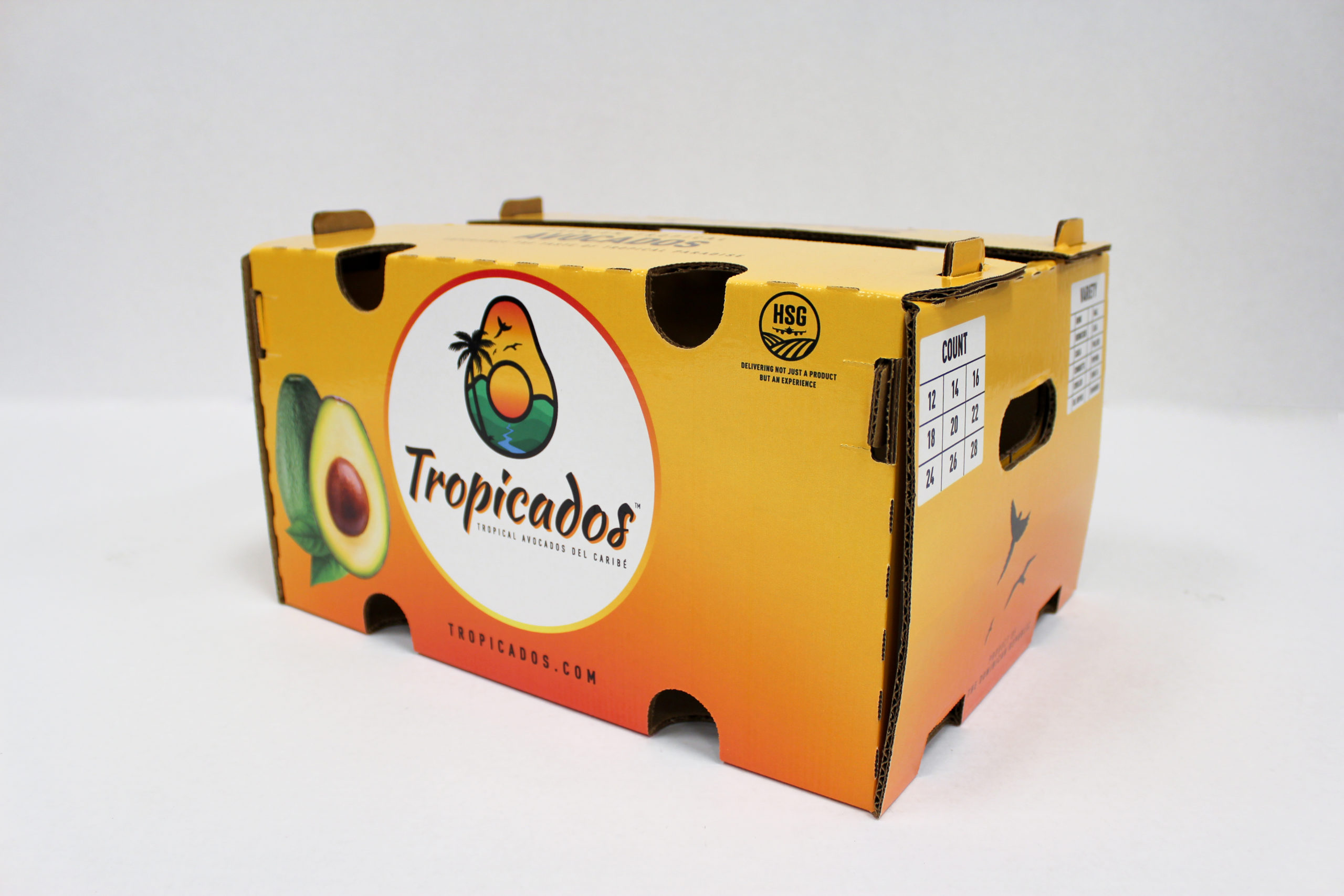 Single-Pass Digital - Complete Design & Packaging